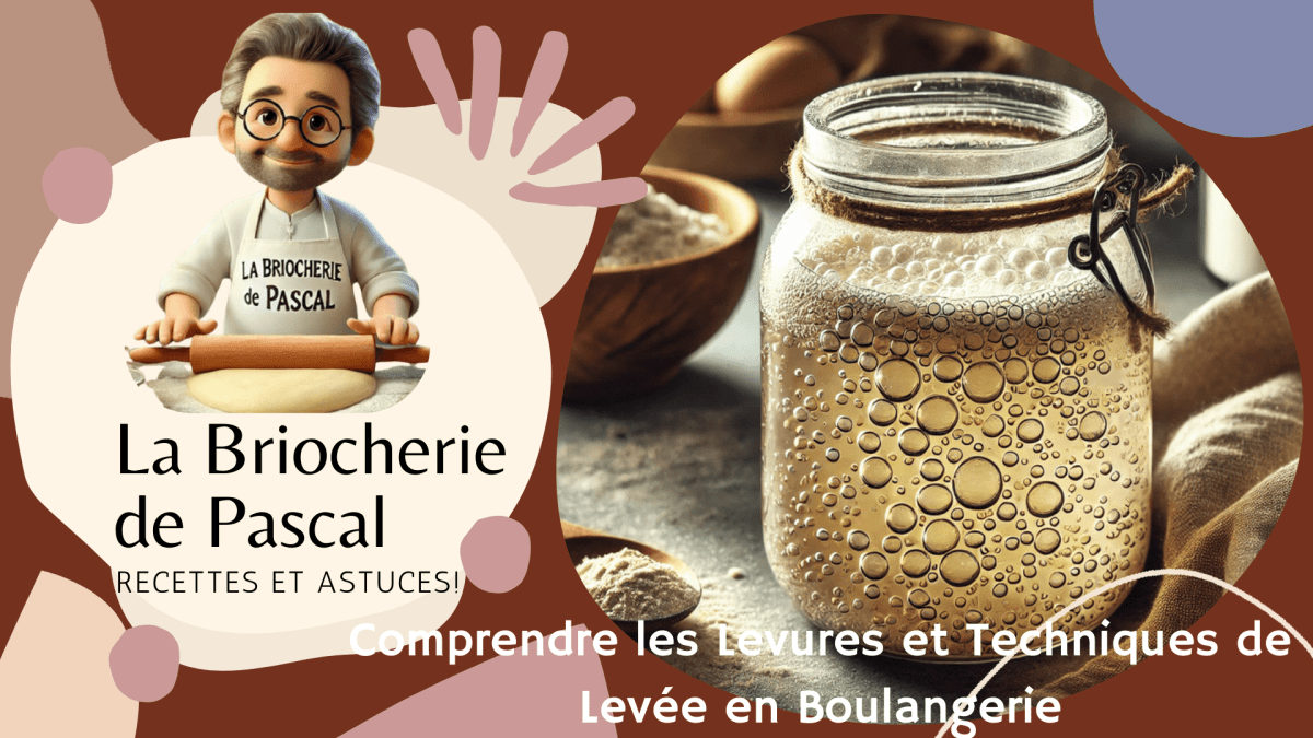 Comprendre les levures et techniques de levée en Boulangerie – Les ...
